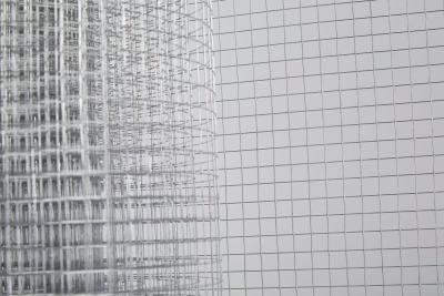 China Poultry Livestock Breeding Wire Mesh Anti Rust for Outdoor Free-Range Poultry Fencing for sale