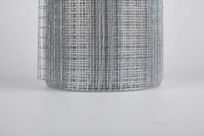 China PVC Dipped Welded Wire Mesh Black Or Galvanized for Agricultural Planting Nursery Protection for sale