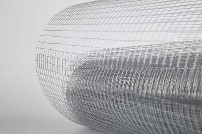 China Anti Corrosion Welded Steel Wire Mesh High Strength for Food Processing Stainless Steel Sorting Mesh for sale