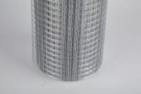 China Anti Corrosion Welded Steel Wire Mesh High Strength for Aquaculture Fish Pond Enclosure Net Mesh for sale