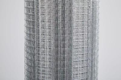 China PVC Dipped Welded Wire Mesh Black Or Galvanized for Residential Wall Garden Fence Enclosure for sale