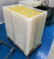 China Food Grade PP Plastic Softgel Drying Tray For Fast Drying for sale