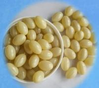 China SS316L SS304 Chewable Soft Gel Capsule Manufacturing Machine for sale