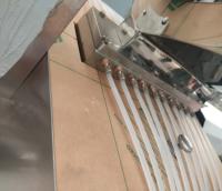 China Vitamin Vegetarian Soft Gelatin Capsule Filling Machine for sale