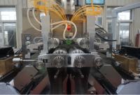 China Modified Starch Vegetarian Soft Gelatin Capsule Machine for sale