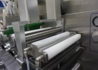 China SS304 SS316L Soft Gel Capsule Making Machine Small Middle Big Chewable for sale