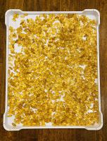 China Non Perforated Capsules Softgel Drying Tray Food Grade PP Plastic for sale