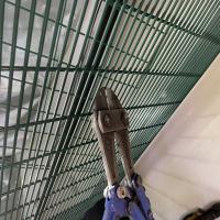 China 4.0mm Green Hot Dip Galvanized Welded Wire Mesh Fence for sale