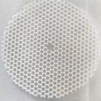 China PVC PE PP Perforated Plastic Plate / Panel / Sheet For Ceiling for sale