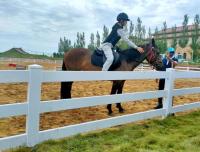 China White 5ft x 8ft 4-Rail PVC Horse Fence Eco-Friendly Vinyl for sale