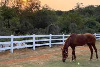 China Heavy Duty 3Rails PVC Horse Fence for Farms and Ranches for sale