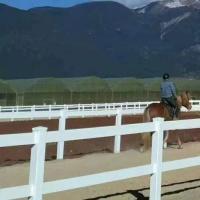 China PVC Horse Fencing White Black Farm Fence Durable Weather-Resistant for sale