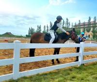 China PVC Farm Fence 3 Rails Horse Paddock Ranch Easy Installation for sale