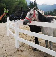China White Pvc Antiseptic Vinyl Pasture Fencing 3 Rail Plastic Farm For Horse Pastures for sale