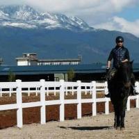 China Square Post 2 Rails Vinyl Horse Fencing In Stock for sale