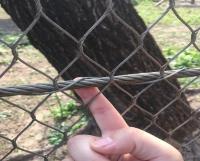 China Black Oxidation Stainless Steel Wire Rope Mesh 50x50mm for sale