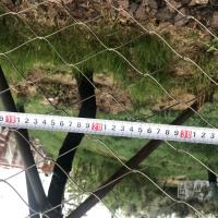 China Customized Stainless Steel Rope Wire Mesh Knotted Edge Type 2mm Diameter for sale