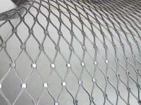 China Stainless Steel Rope Mesh 20x20mm 304/316 for Zoo Aviary Decoration for sale