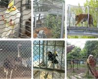 China 304 Stainless Steel Cable Mesh Black Oxidation for Zoo Aviary for sale