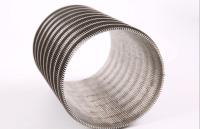 China Stainless Steel 304/316 Wedge Wire Screen Alkali-Resisting Filter for sale