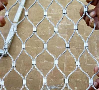 China 50*50mm Flexible Strong Stainless Steel Rope Mesh Building Curtain Wall Green Plants Climbing for sale