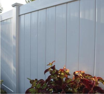 China White PVC Privacy Fence Panel 6Hx8W Easy Installation for sale