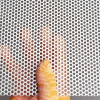 China Stainless Steel Small Hole Perforated Mesh For Speaker Grille Sheet for sale