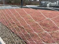 China Stair Railing Protection Net AISI 304/316 Stainless Steel Wire Rope with Zinc for sale