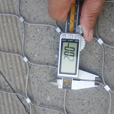 China Stainless Steel 304 High-strength Wire Rope Mesh 50*50 Mesh Opening Structural Cable Mesh for sale