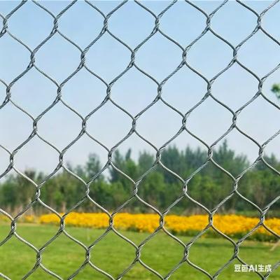 China Stainless Steel Wire Rope Mesh for Bridge Anti-Throwing Highway Railway Protection for sale