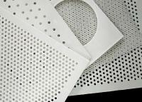 China Online Shopping PVC PP PE Perforated Plastic Sheet Sound Absorption for sale