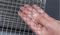 China 25x25mm Galvanized Welded Wire Mesh Panels for Decorative Fencing for sale
