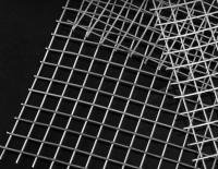China 25x25mm Galvanized Welded Wire Mesh Panels for Decorative Fencing for sale