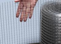 China 1/4 Inch Hot Dip Galvanized Welded Wire Mesh Roll For Concrete Plastering for sale
