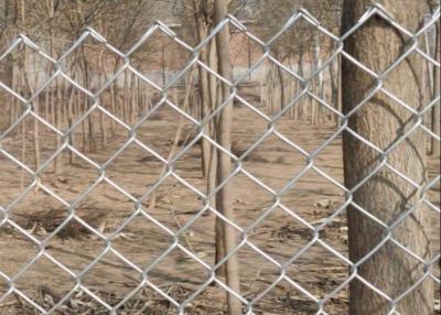 China 4.8mm Galvanized Chain Link Fence 50m Roll Diamond Hole Mesh for sale