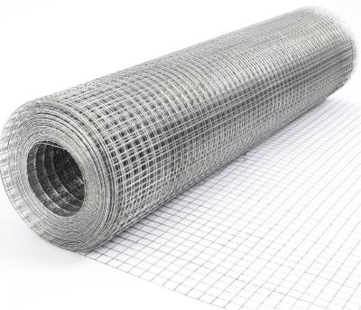 China Galvanized Welded Wire Mesh Rolls 0.5mm for Fence and Cages for sale