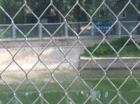 China 3.8mm Pvc Coated 4ft 6 Ft Galvanized Fencing Custom for sale