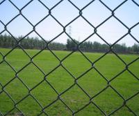 China 3mm 12 Gauge Chain Link Fence Pvc Coated Green 6x50 for sale