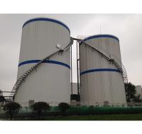 China Expanded Granular Sludge Bed Reactor EGSB Anaerobic Reactor Wastewater Treatment for sale