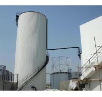 China Expanded Granular Sludge Bed Reactor EGSB Anaerobic Reactor Wastewater Treatment for sale