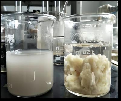 China New Composite Flocculants Industrial Water Treatment Chemicals for sale