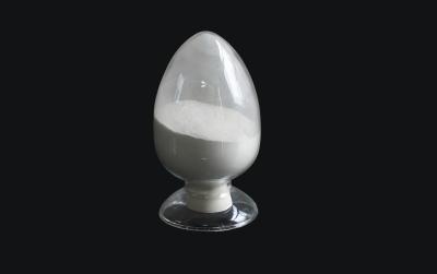 China White Powder Solid Nitrifying Agent Water Treatment Bacterial Agent for sale