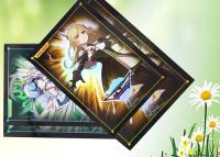 China PP PE Transparent Waterproof Card Sleeves Customized Printing for sale
