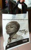 China Promotional Plastic Handle Bag With Logo , Printed PE Packaging Tote Bag for sale