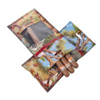 China 5 Cigars Volume Plastic Cigar Bags Transparent Resealable Bags Providing Excellent Protection Against Dust and Humidity for sale
