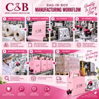 China Customized Bag In Box Featuring Accessories Tap Spout Capacity Options 5L 10L 20L 25L 220L Designed for Liquid Dispensing for sale