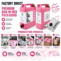 China Bag in box packaging in 5L 10L 20L 25L and 220L sizes designed to meet diverse liquid storage requirements for sale