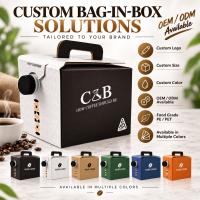 China Customized Plastic Bag In Box Customized Packaging Designed for Secure and Convenient Liquid Dispensing Systems for sale