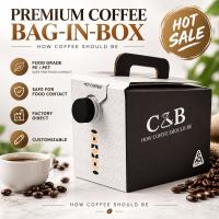 China Customized Plastic Bag In Box Customized Packaging Designed for Secure and Convenient Liquid Dispensing Systems for sale