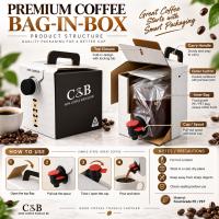 China Customized Plastic Bag In Box Customized Packaging Designed for Secure and Convenient Liquid Dispensing Systems for sale